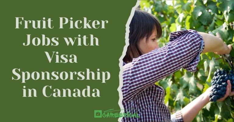 Top 10 Countries Offering Visa Sponsorship for Skill-Shortage Jobs in 2025